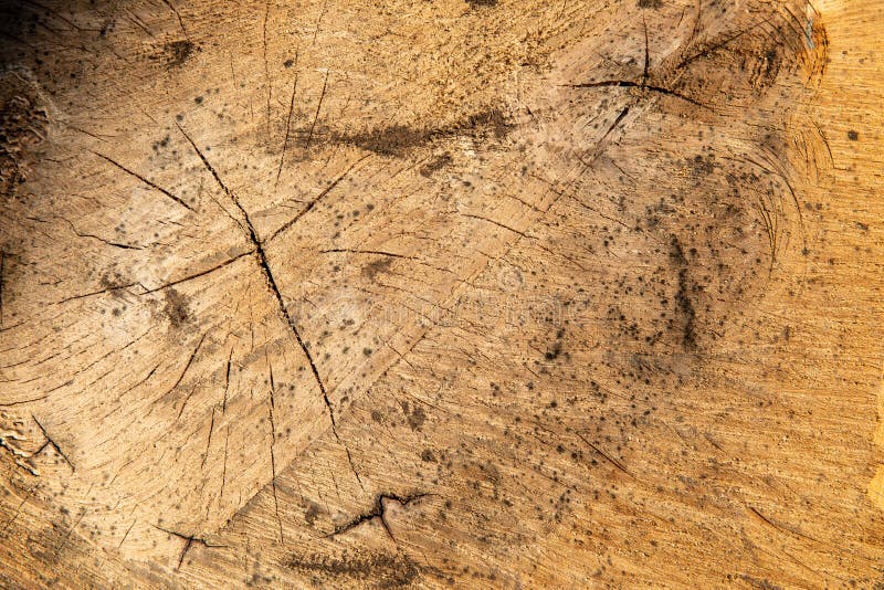 Variation of Sharp Abstract Texture Patterns Stock Photo - Image of ...