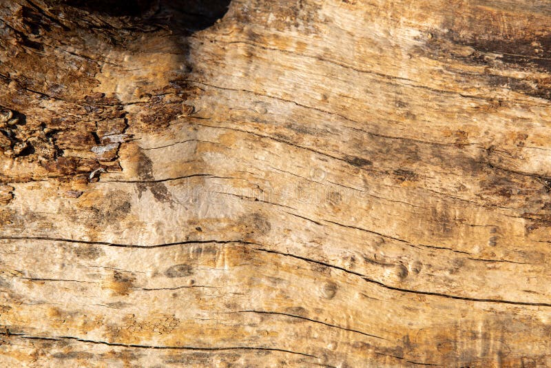 Variation of Sharp Abstract Texture Patterns Stock Image - Image of ...