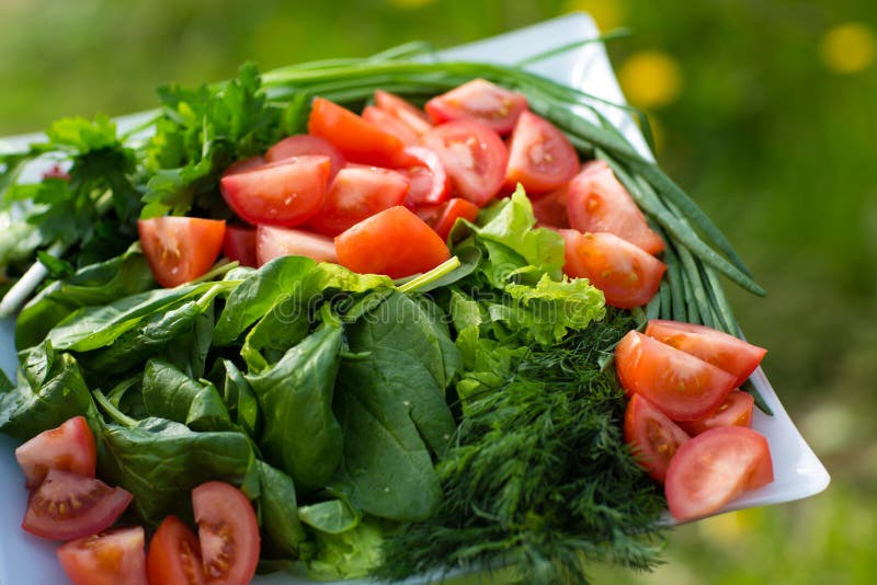 Variation of vegetables stock photo. Image of lettuce - 71624132