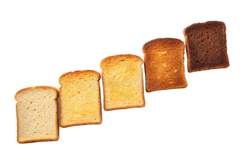 Variations of Toasted Bread from Light To Dark, on a White Background ...