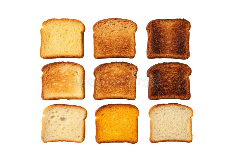 Variations of Toasted Bread from Light To Dark, on a White Background ...