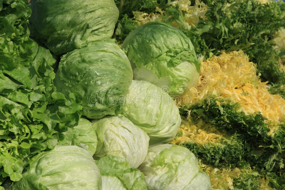 Diverse verdure colorate immagine stock. Immagine di nutrienti - 4156379