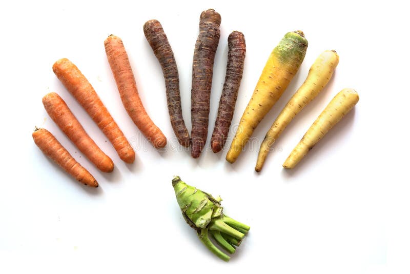 Varie Verdure, Rosso, Carote in Bianco E Nero in Un Semicerchio ...