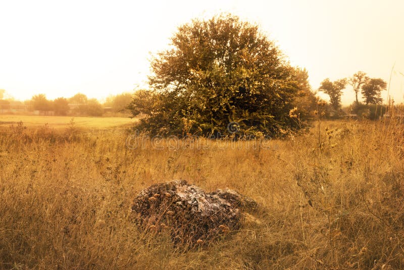 A Varied Landscape with Different and Interesting Objects and ...