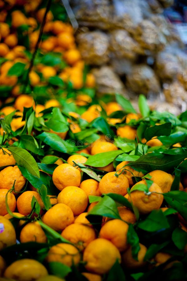 Varied Mandarins with Attached Leaves Stock Photo - Image of shopping ...