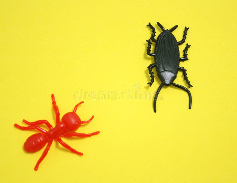 INSECTS in MINIMAL STYLE stock photo. Image of insects - 159845330
