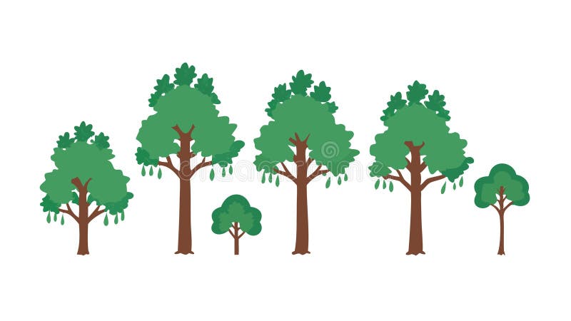 Varied Tree Forest, Symbolizing Biodiversity and Natural Landscapes ...