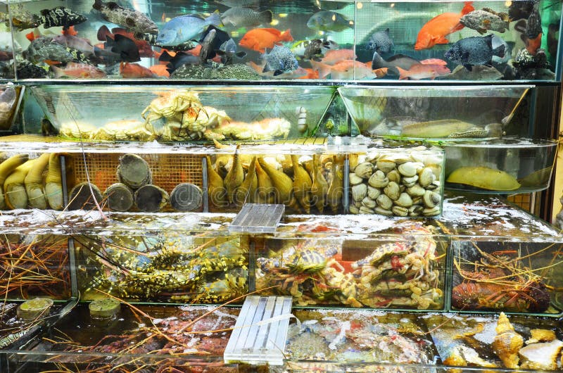 Mariscos Vivos Fuera De Un Restaurante En Sai Kung, Hong Kong Foto de ...