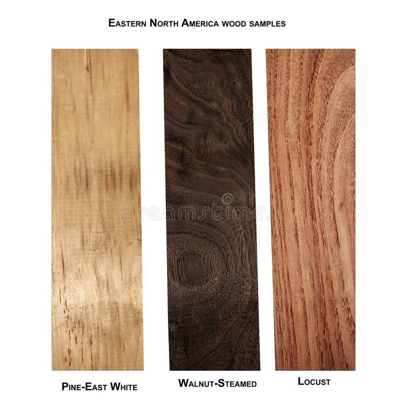 Variedad De Muestras De Madera Imagen de archivo - Imagen de aislado ...