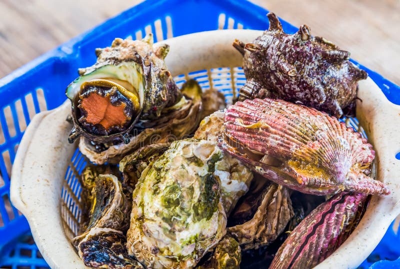 Variedade De Ostras E De Marisco Vivos Para O BBQ Imagem de Stock ...