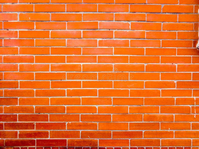 Variegated brick wall stock photo. Image of bird, brick - 78557708