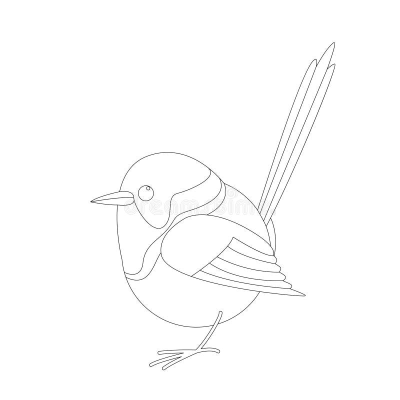 Variegated Fairy Wren Bird,vector Illustration, Lining Stock Vector ...
