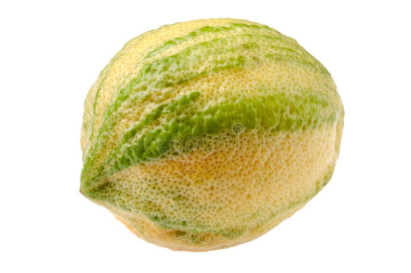 Variegated Pink Lemon Displayed on a Plain Background in Natural ...