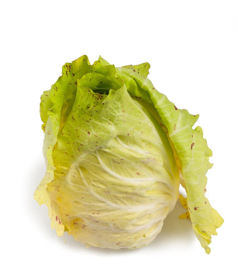 Variegated radicchio stock image. Image of variegated - 135984973