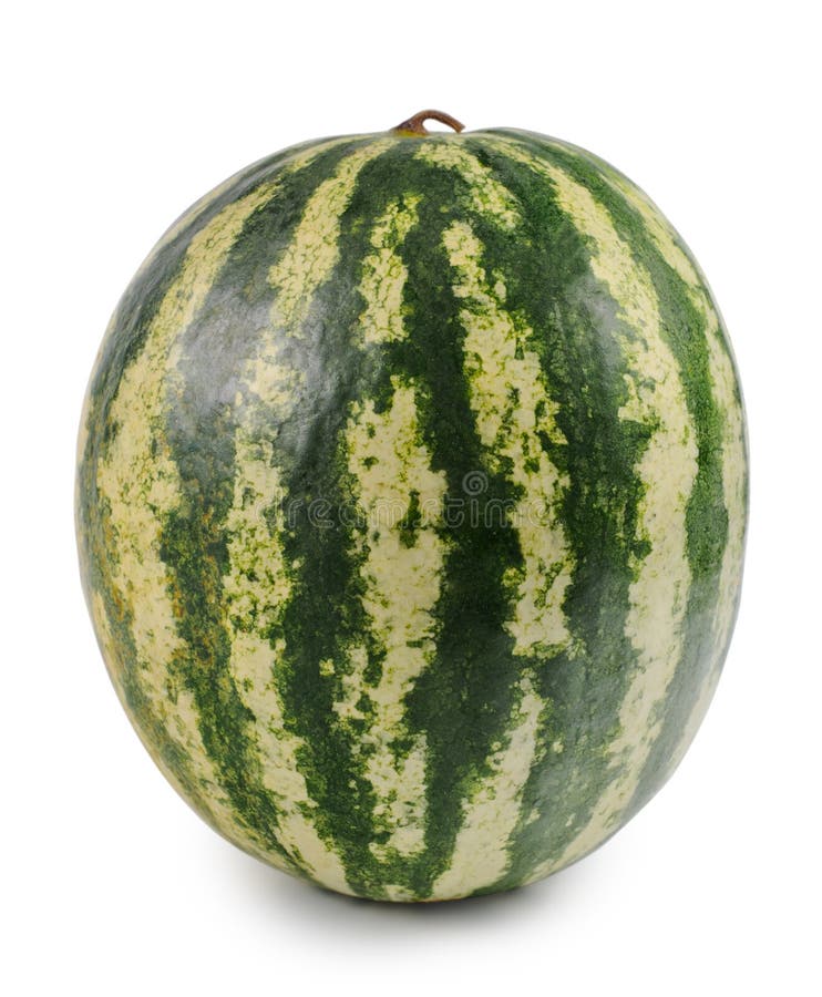 Variegated Rind of a Watermelon Stock Photo - Image of fruit ...