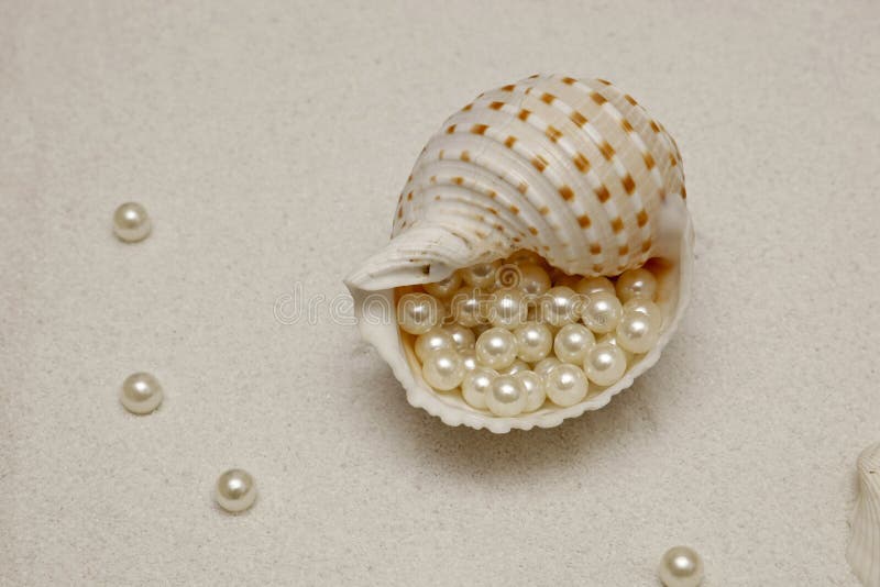 Variegated Seashells with Beautiful Beads Stock Photo - Image of marine ...