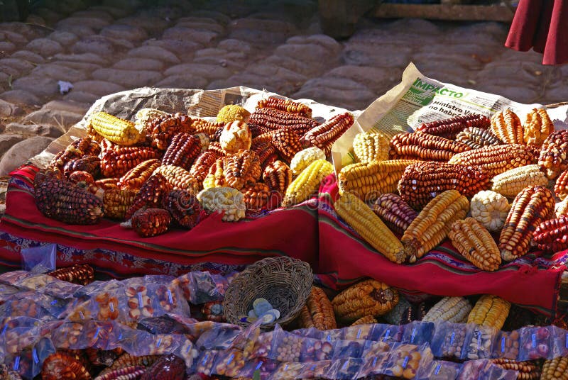 Varieties of dried corn editorial photo. Image of latin - 281043631