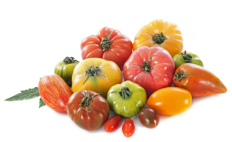 Varieties of tomatoes stock image. Image of ingredient - 31861927