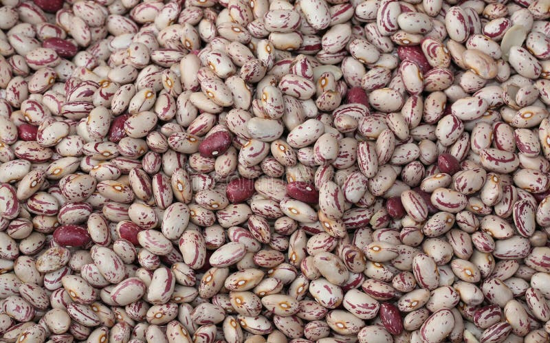 Varieties of White and Brown Beans in a Vegetable Market Stock Photo ...