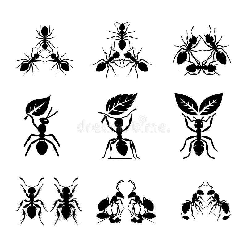 A Variety of Ant Designs, Each Highlighting Different Aspects of Their ...