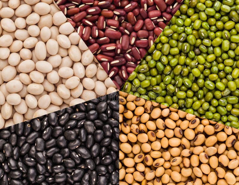 A Variety of Beans on Display Stock Image - Image of grid, health: 57096063