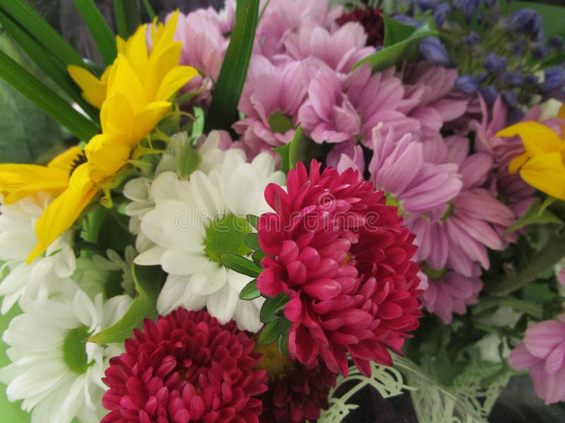 Variety of Bouquet Flowers with Colorful Petals Stock Photo - Image of ...