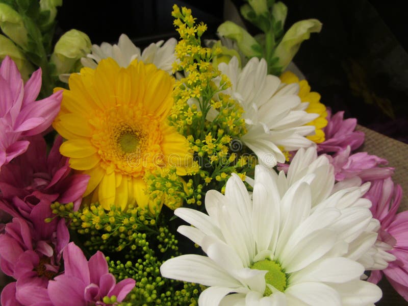 Variety of Bouquet Flowers with Colorful Petals Stock Image - Image of ...