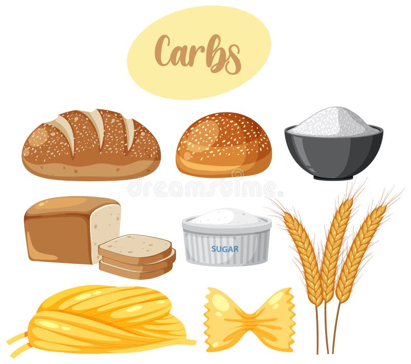 Variety of Carbohydrates Foods Stock Vector - Illustration of flour ...