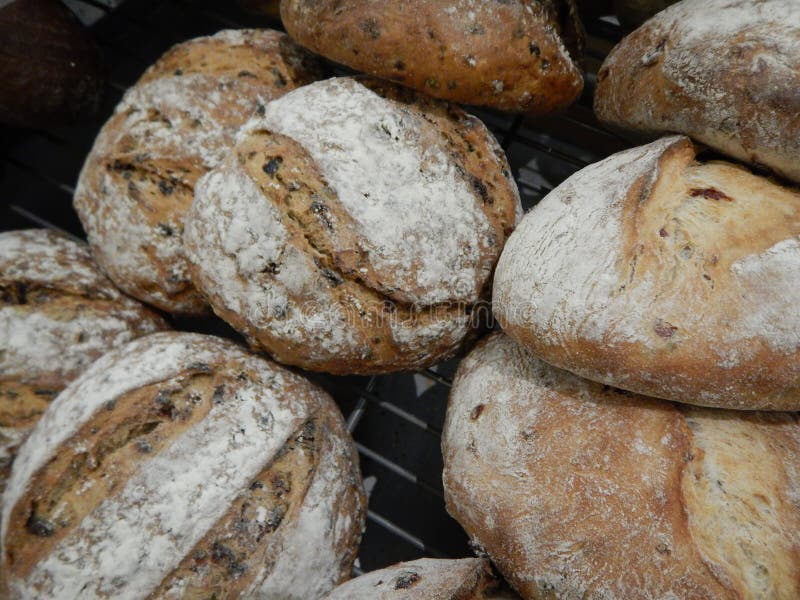 Variety of Choice of Fresh Bread Stock Image - Image of croissant ...