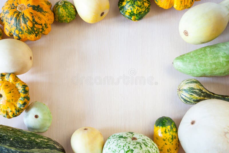 Variety of Courgettes on a Light Background. Stock Photo - Image of ...