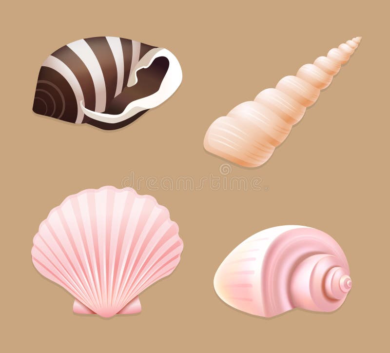Cute Seashell Text Cartoon Vector Illustration Motif Set. Hand Drawn ...
