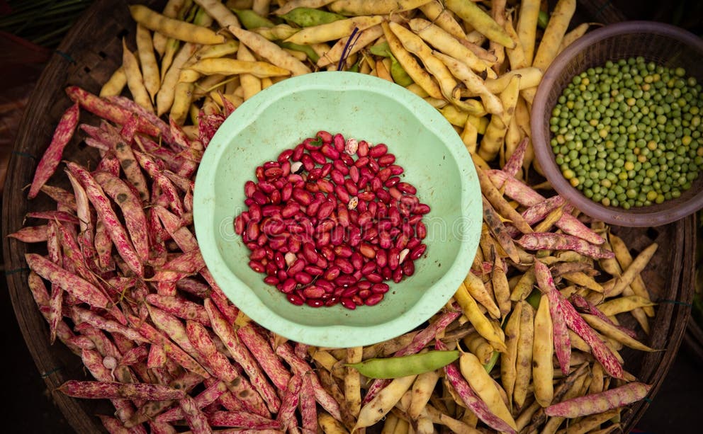 Variety Different Types of Dry Beans Stock Photo - Image of ingredients ...