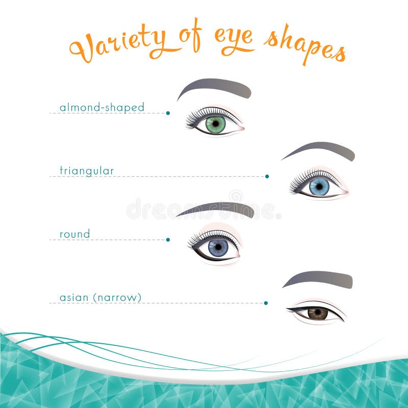 Lower Eyelid Stock Illustrations – 28 Lower Eyelid Stock Illustrations ...