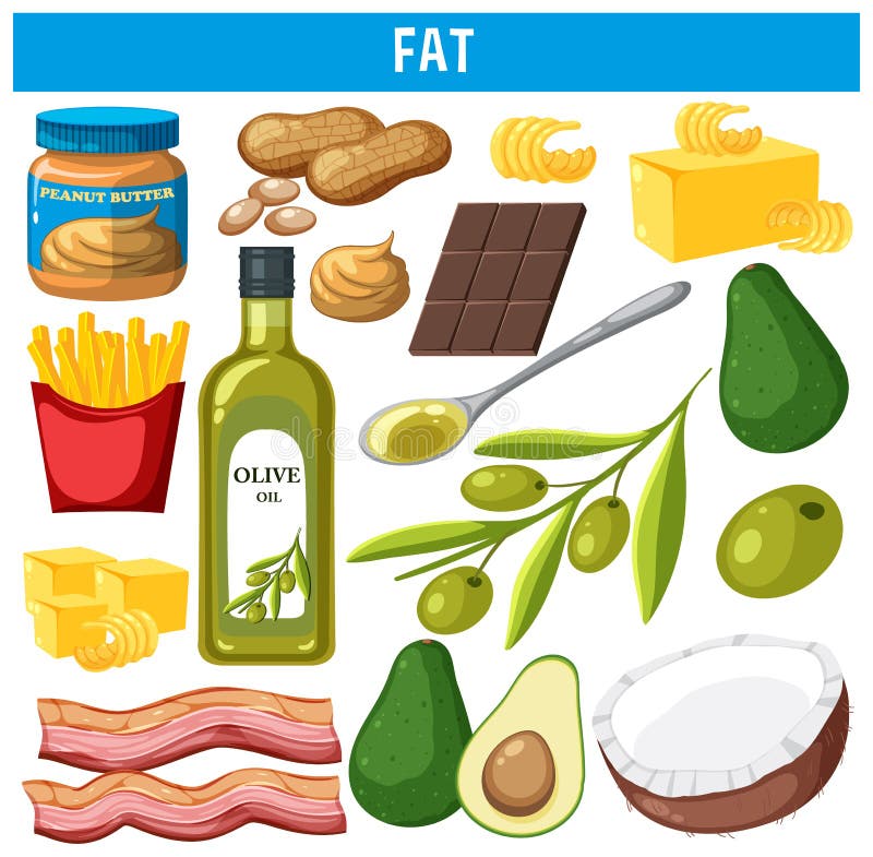 Variety of fat foods stock vector. Illustration of nutrition - 268595511