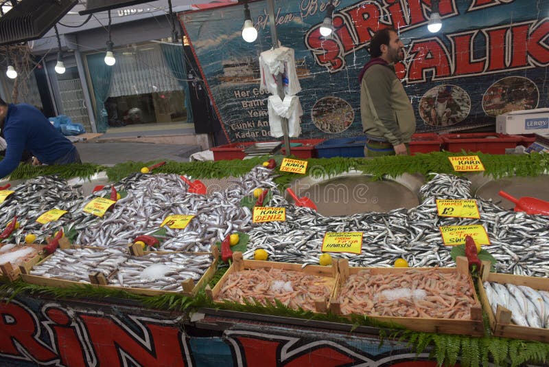Variety of Fish in the Fish Market of Istanbul Editorial Photo - Image ...