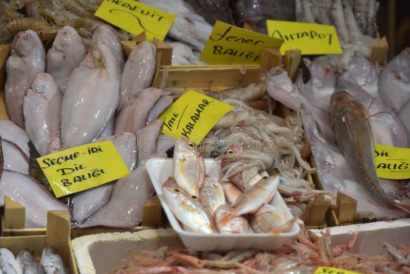 Variety of Fish in the Fish Market of Istanbul Stock Photo - Image of ...