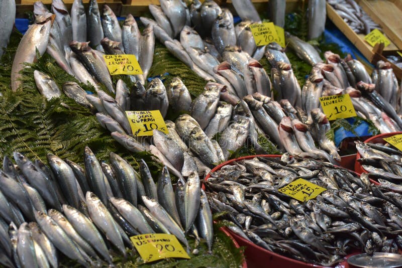 Variety of Fish in the Fish Market of Istanbul Editorial Image - Image ...