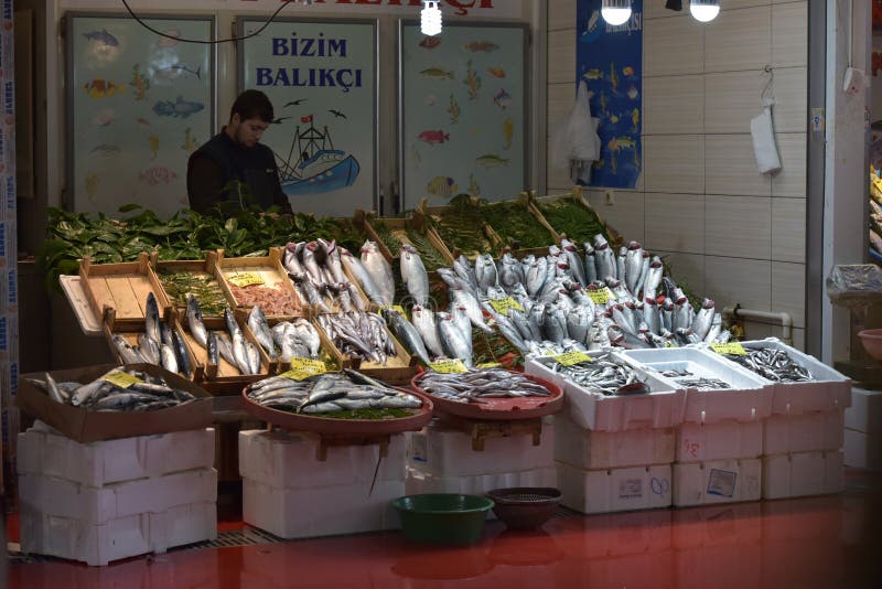 Variety of Fish in the Fish Market of Istanbul Editorial Photo - Image ...