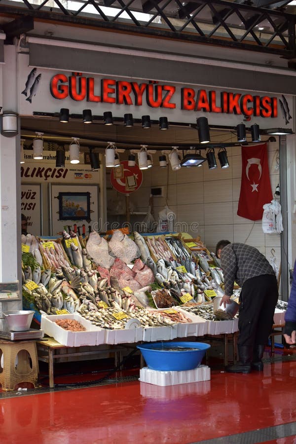 Variety of Fish in the Fish Market of Istanbul Editorial Stock Photo ...