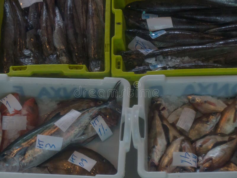 Variety of Fish in Plastic Boxes at a Fish Auction Stock Image - Image ...