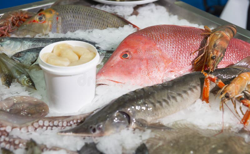 Variety of Fish and Seafood on Market Ice Display Stock Image - Image ...