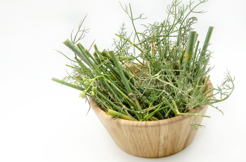 Variety of Fresh Aromatic Herbs Stock Image - Image of healthy, food ...