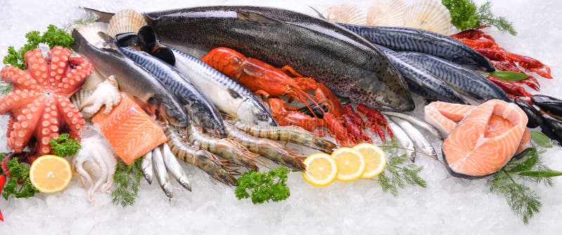 Variety of Fresh Fish and Seafood Stock Image - Image of mussels, menu ...