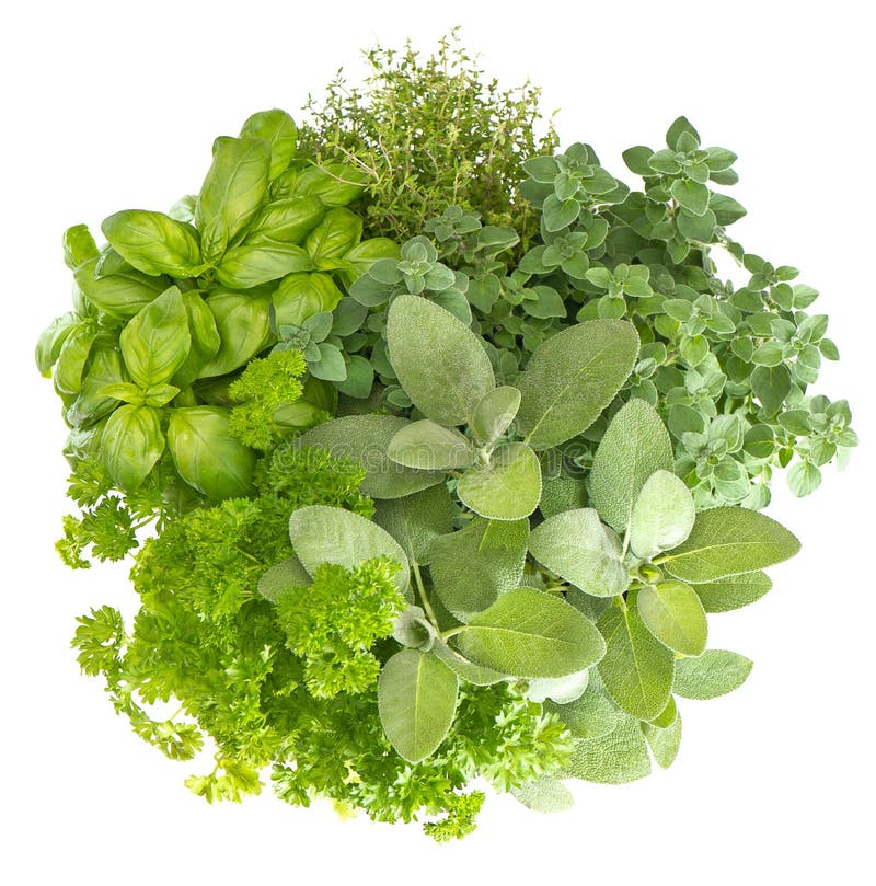 Variety of Fresh Herbs Isolated on Background, Top View Stock Image ...