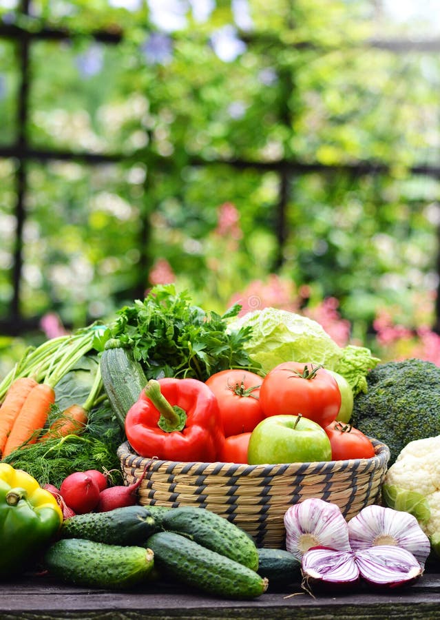 Variety of Fresh Organic Vegetables in the Garden Stock Photo - Image ...