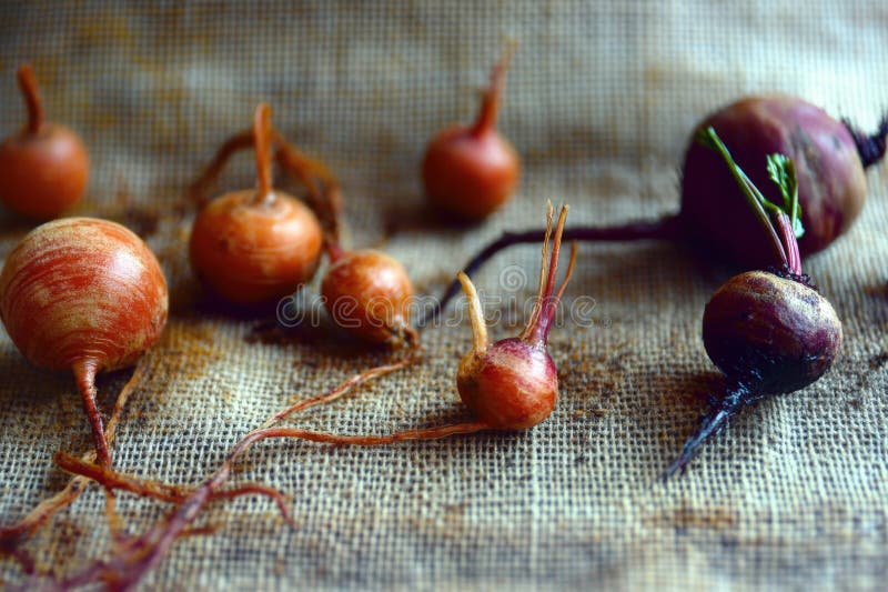 Variety of Fresh Root Vegetables on Rustic Burlap Surface Stock Photo ...