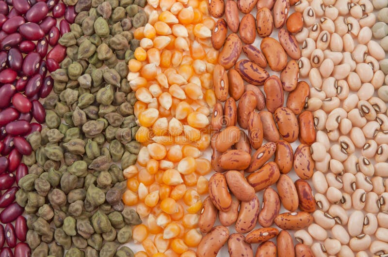 Variety of gram seeds stock image. Image of wrinkled - 35622669