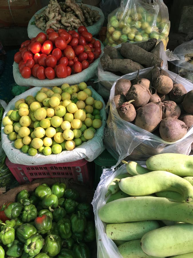 Variety of Fresh Vegetables Stock Photo - Image of foodgroup, green ...