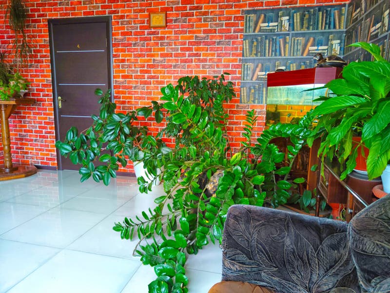 A Variety of Green Plants Complement a Home Library with a Red Brick ...