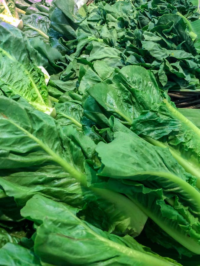 Variety of Green Vegetables in the Market Stock Photo - Image of ...